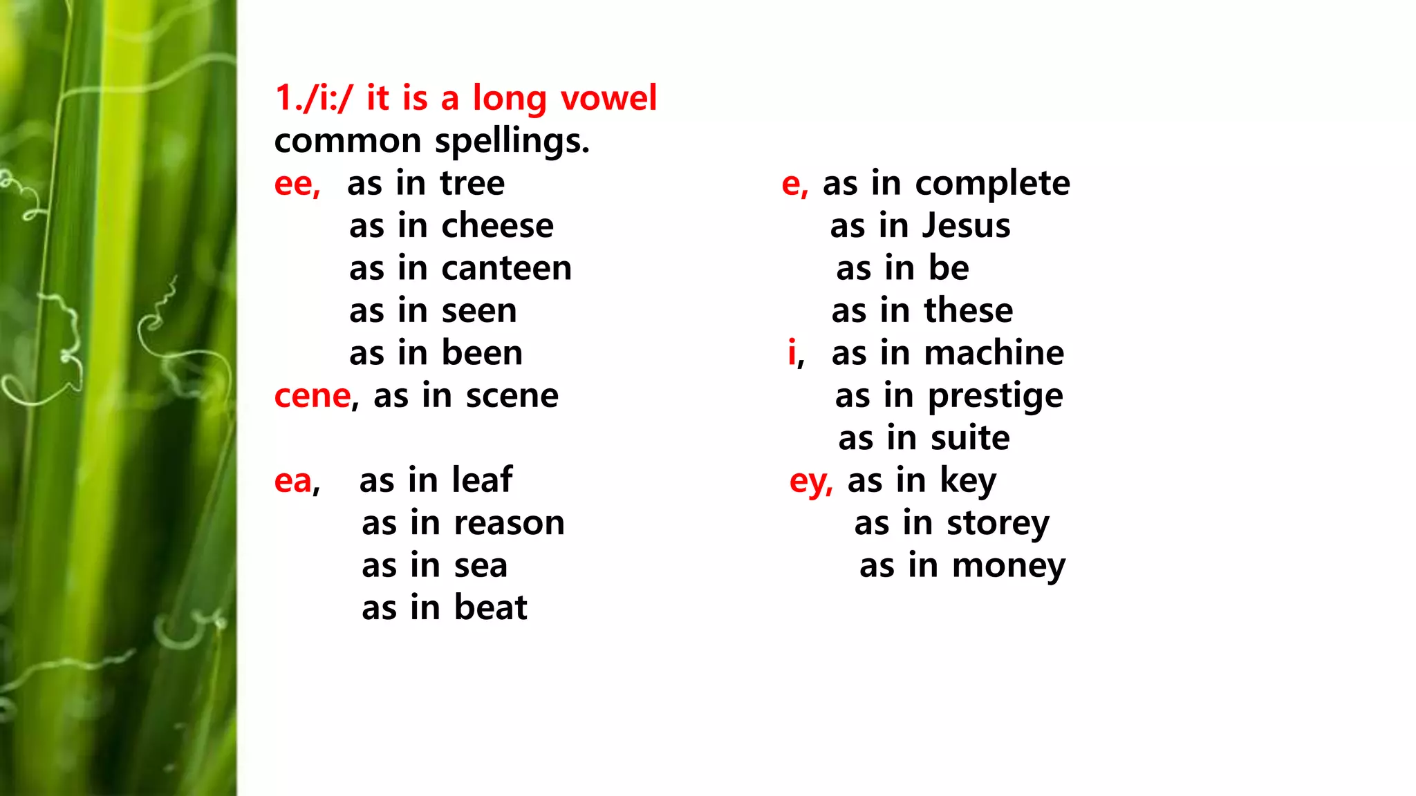 Vowels | PPT