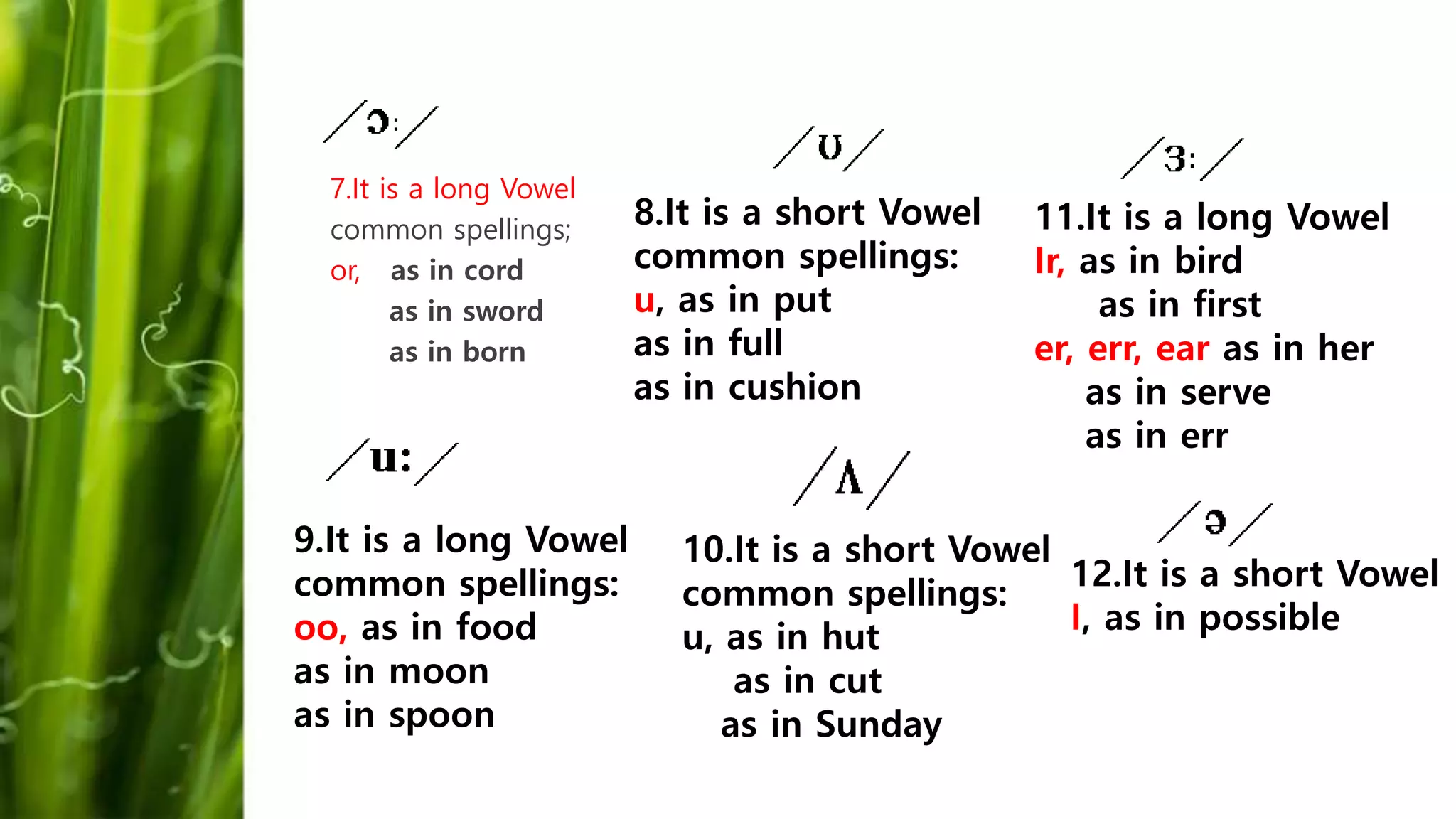 Vowels | PPT