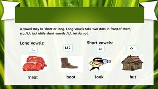 Vowels | PPT
