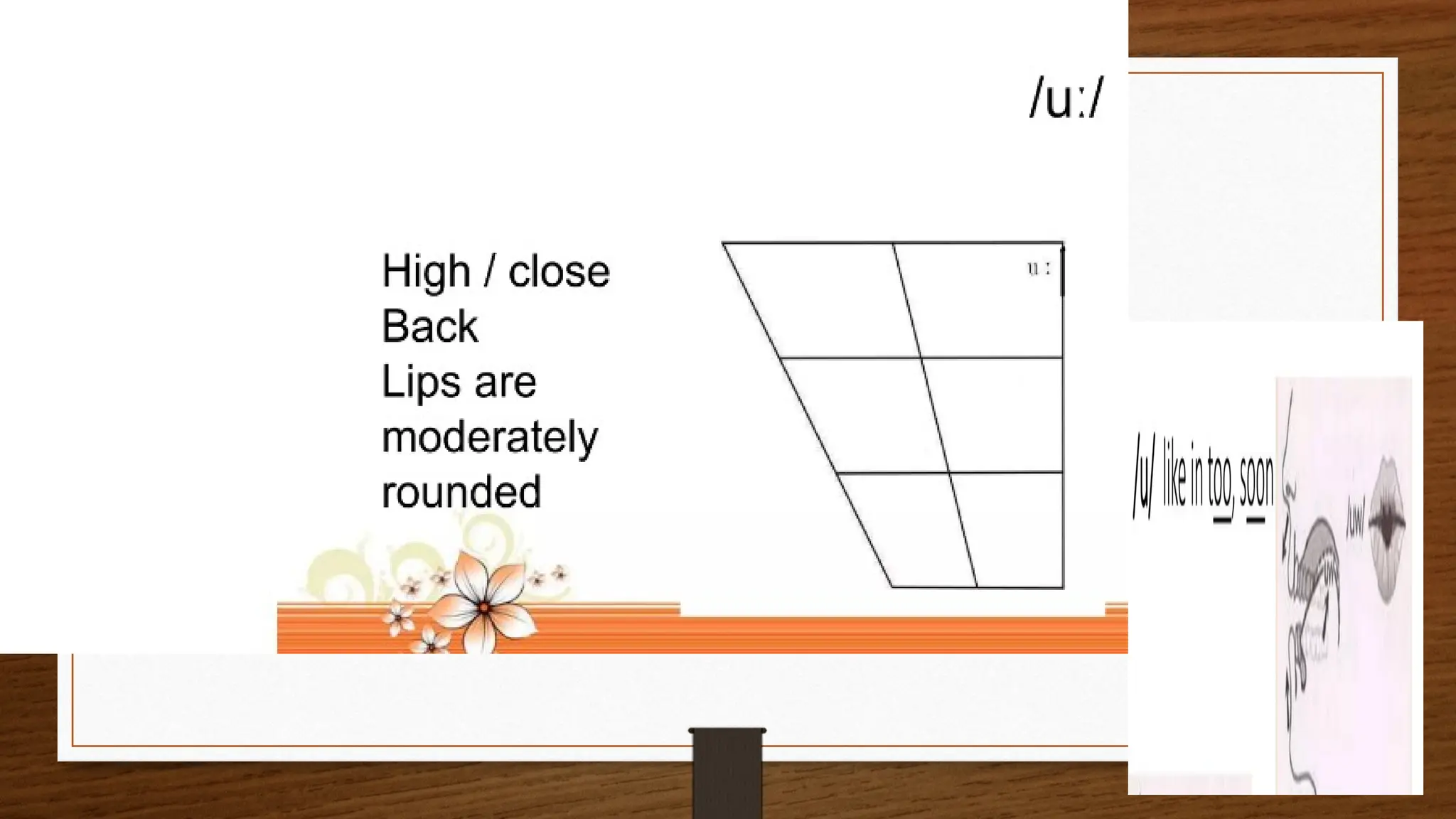 VOWELS in Phonetics and phonology, linguistics | PPT