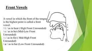 Vowels by saveeda hina | PPTX