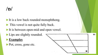 Vowels by saveeda hina | PPTX
