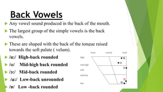 Low Back Vowel