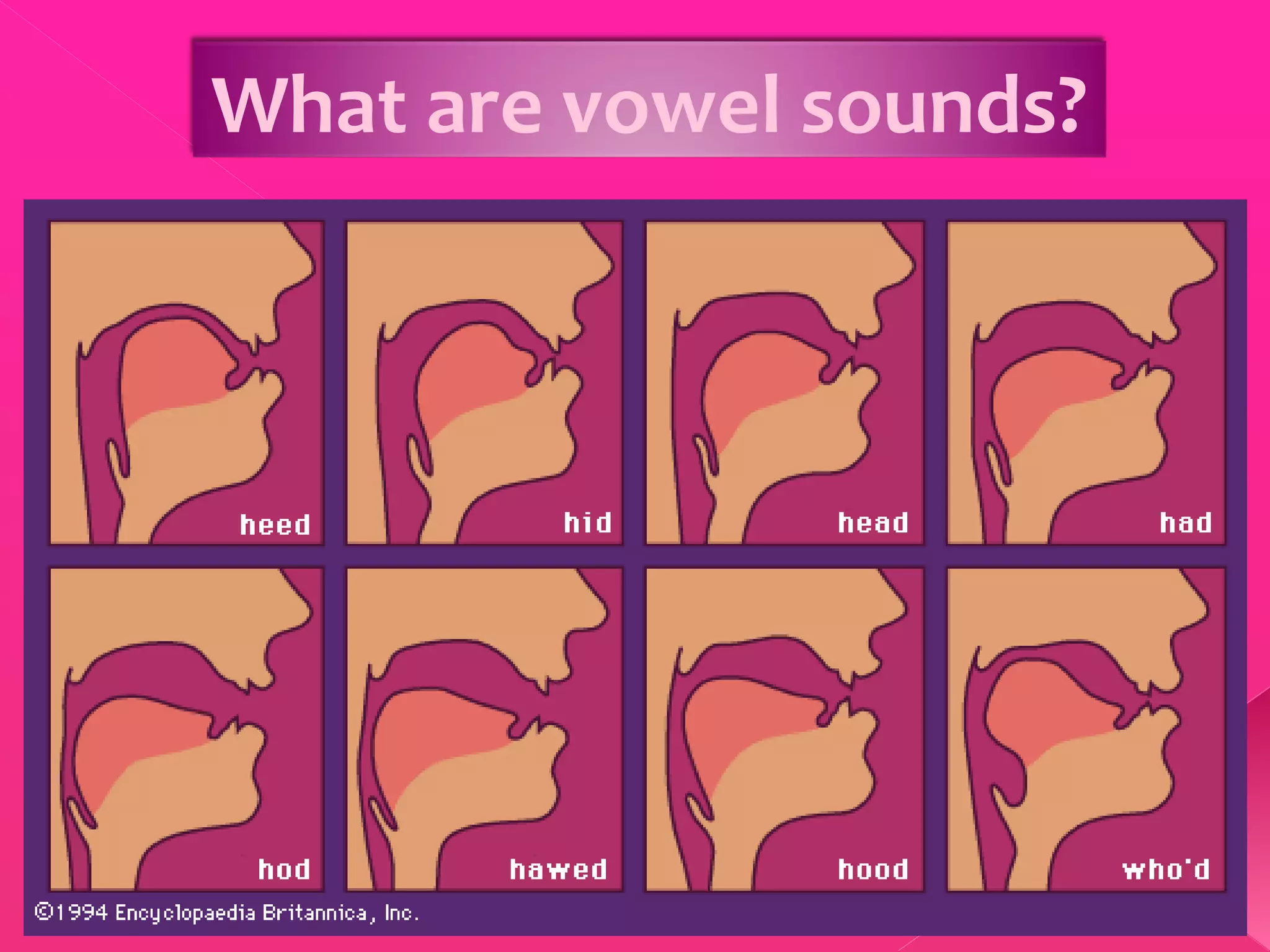 Vowels - Phonetics and Phonology | PPT