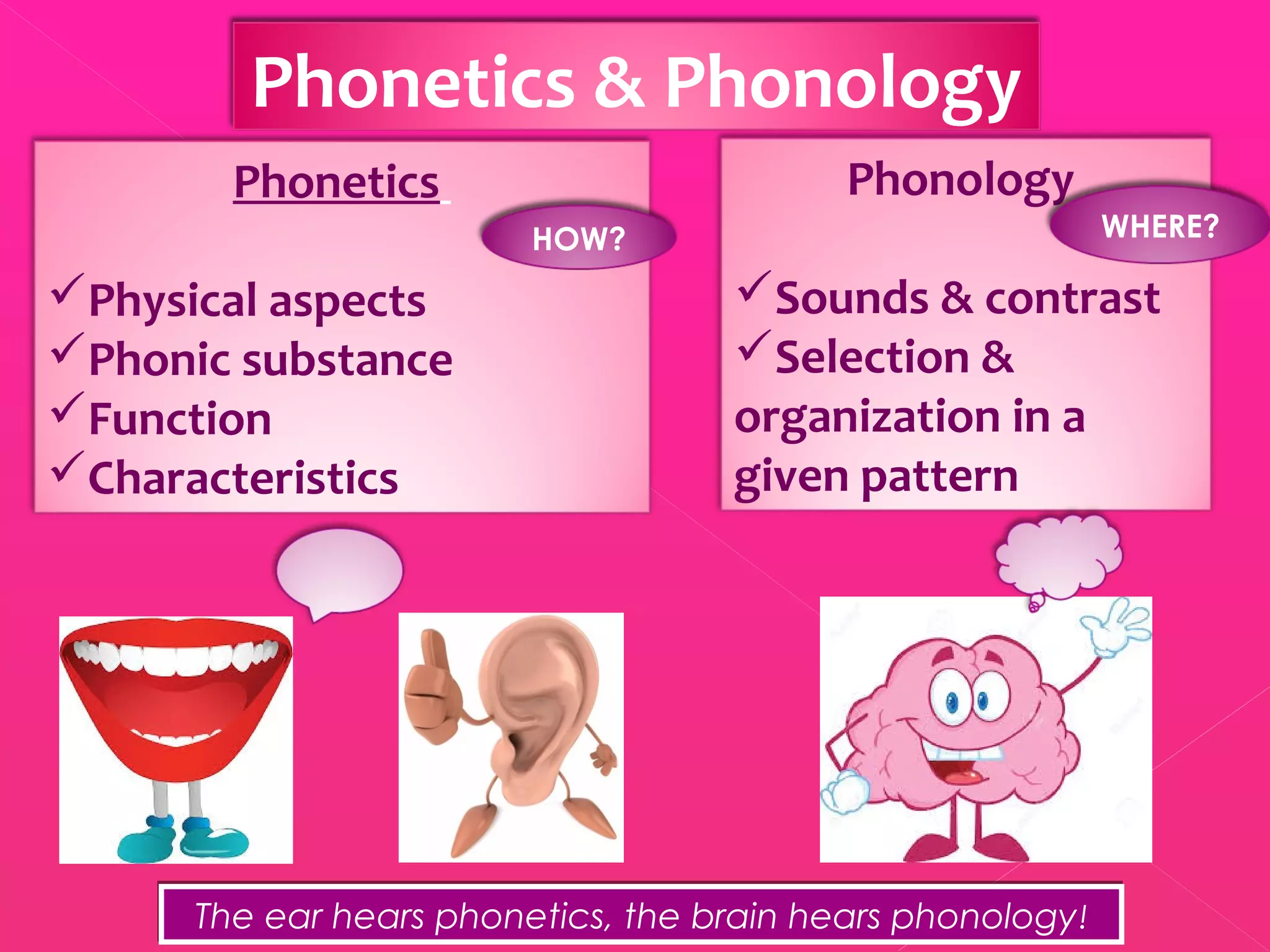 Vowels - Phonetics and Phonology | PPT