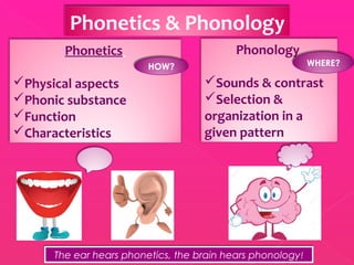 Vowels - Phonetics and Phonology | PPT