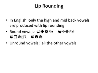 Vowels in phonetics | PPT