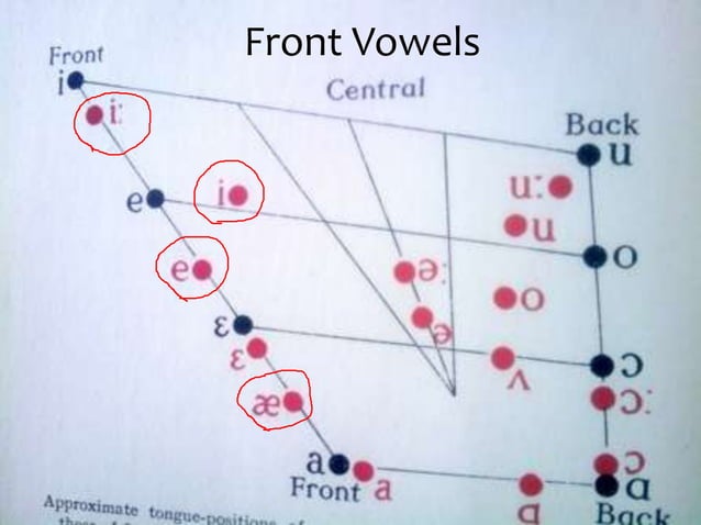 Vowels latest | PPT