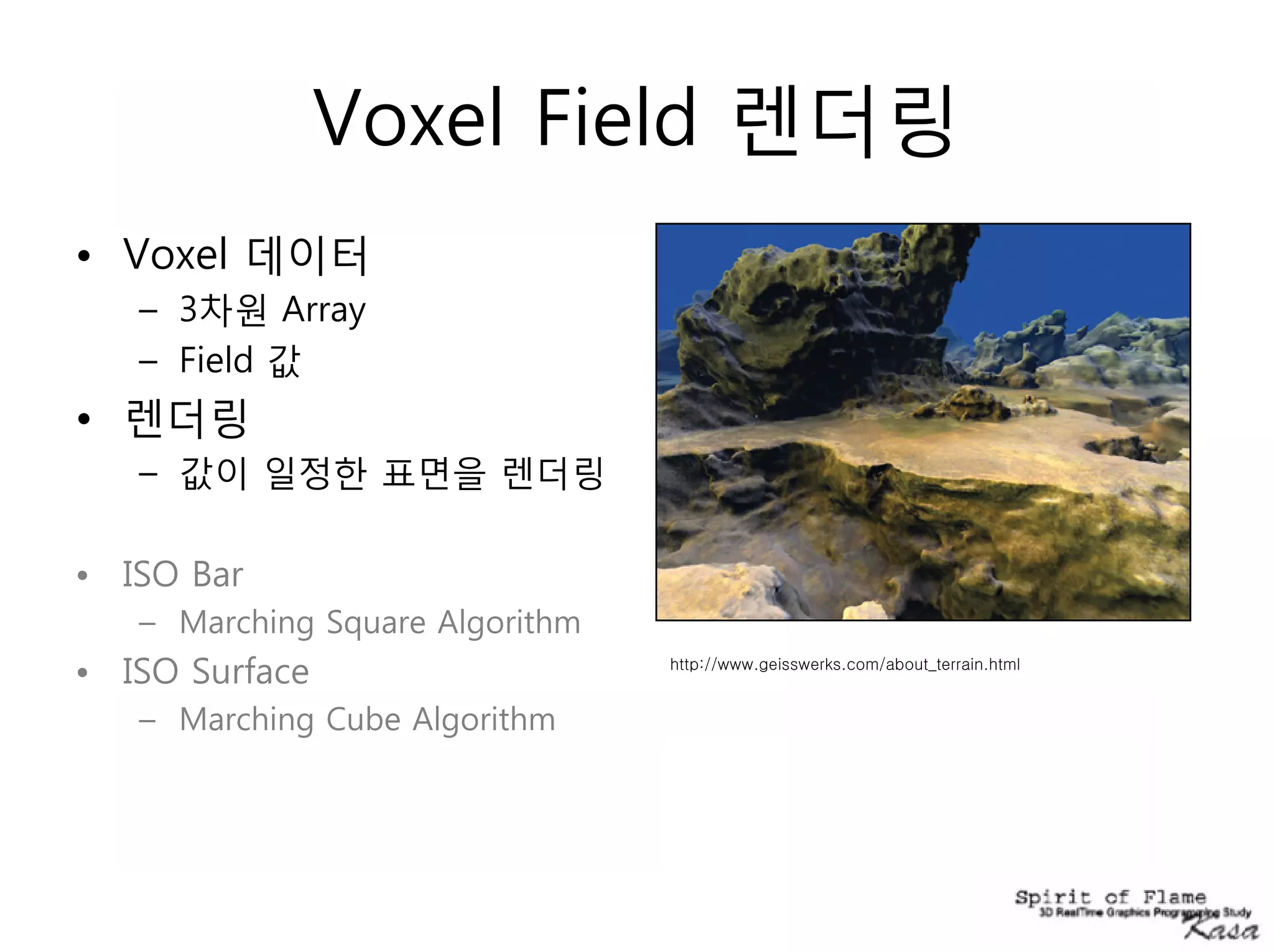 09_Voxel rendering | PDF