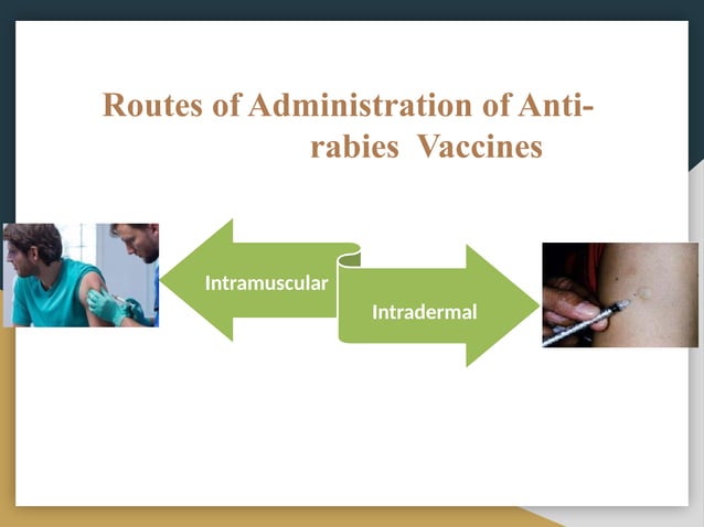 Rabies for my presentation for medicalpptx | PPTX | Infectious Diseases ...
