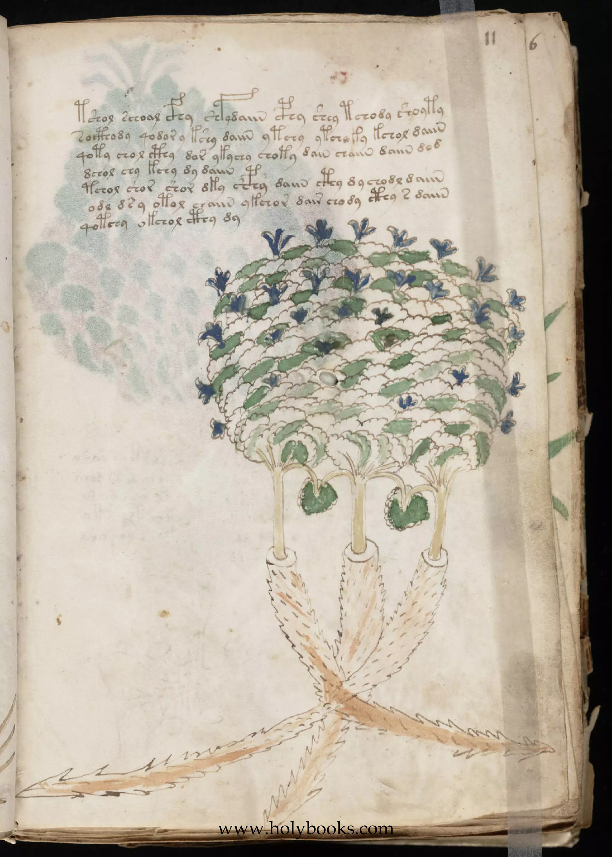 Voynich-Manuscript.pdf | Art and Photography | Books and Literature