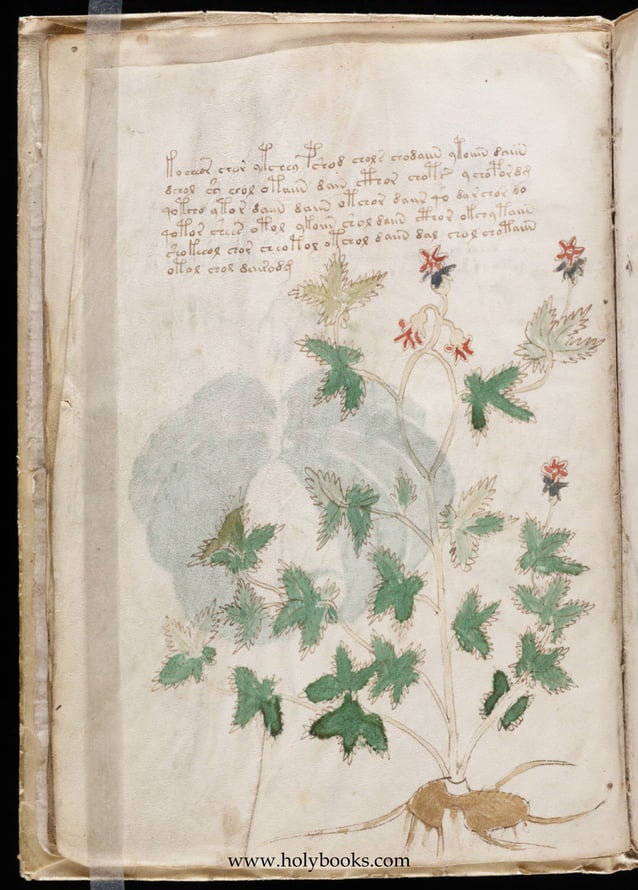 Voynich-Manuscript.pdf