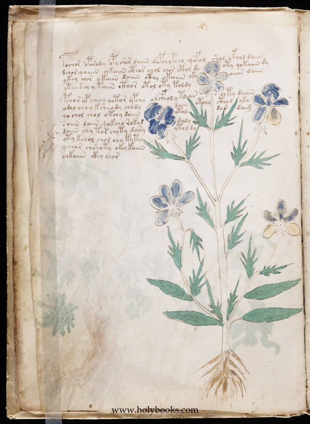 Voynich-Manuscript.pdf