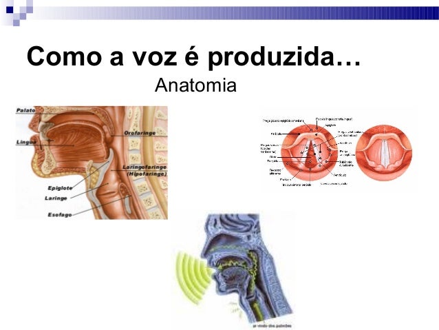 Voz slide