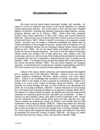 The African American Culture | PDF