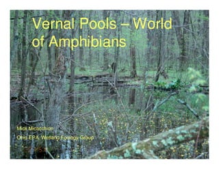 Vernal Pools & Amphibians | PPT