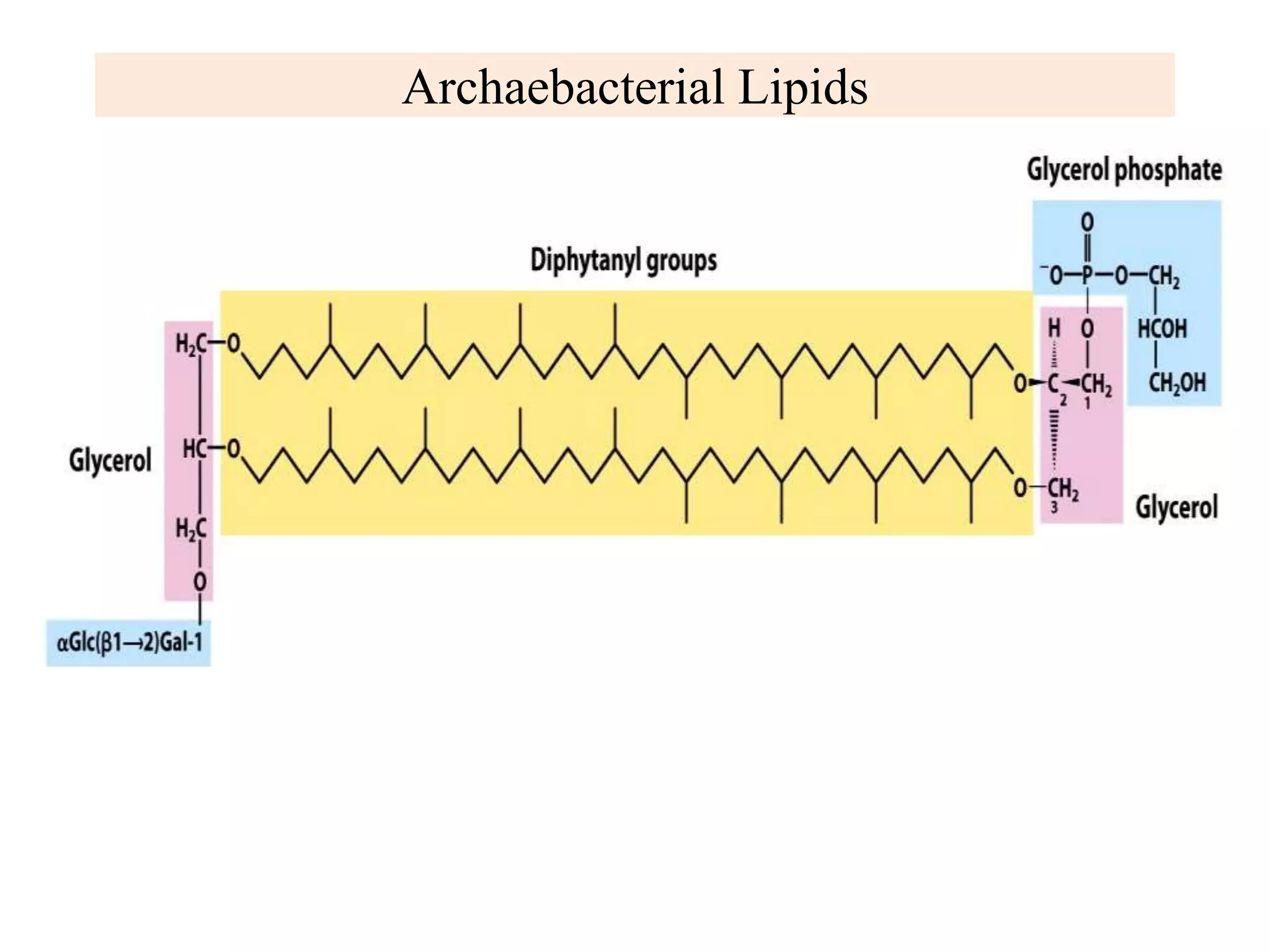 chemistry of lipids (class) | PPTX