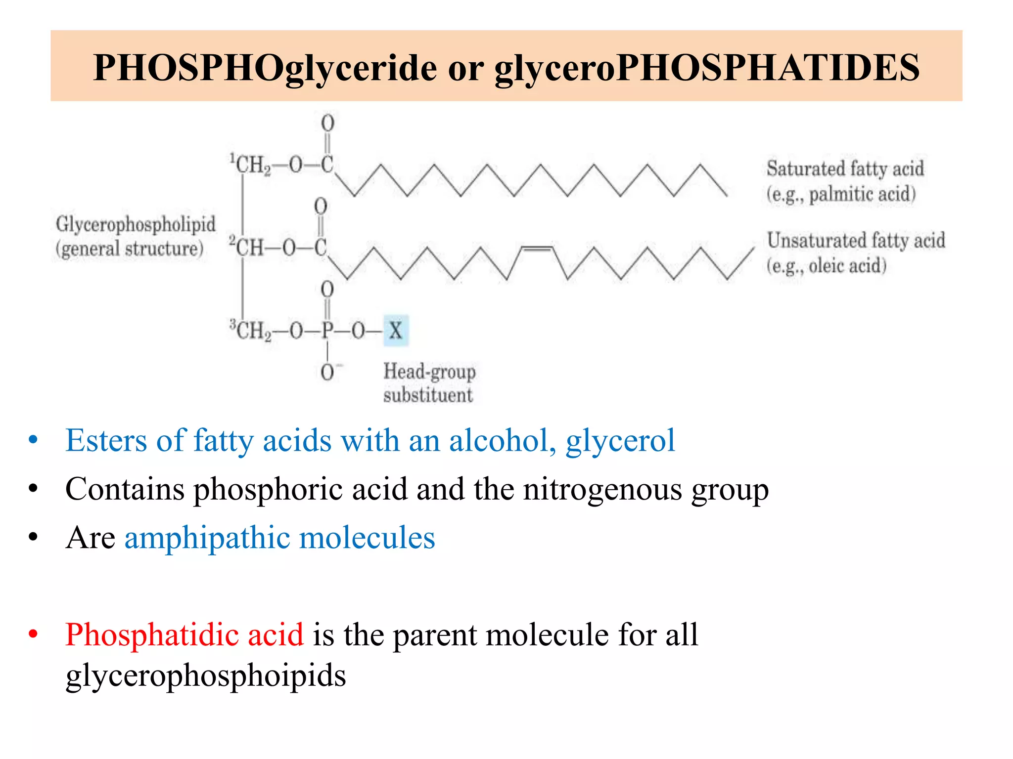 chemistry of lipids (class) | PPTX