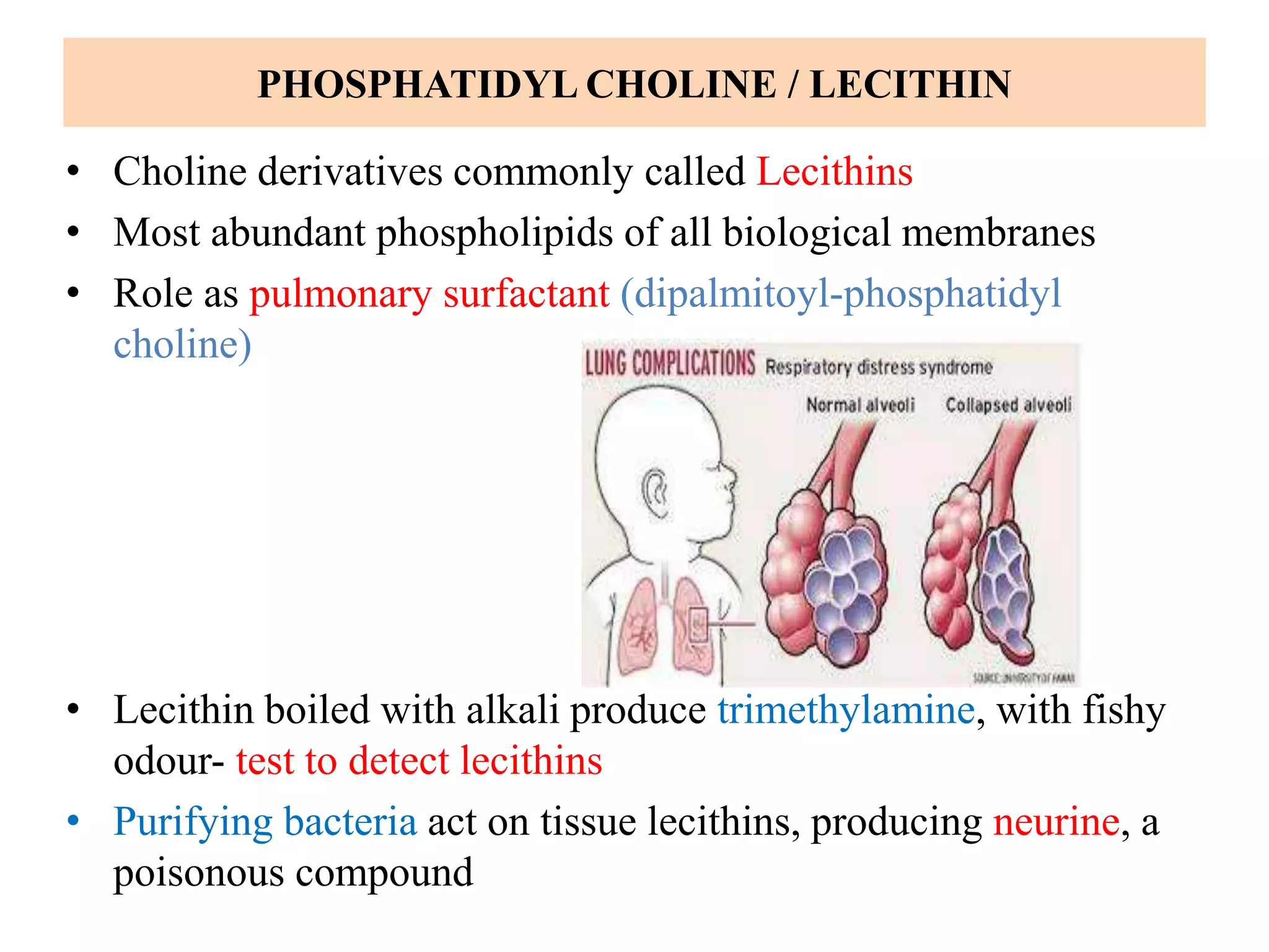 chemistry of lipids (class) | PPTX