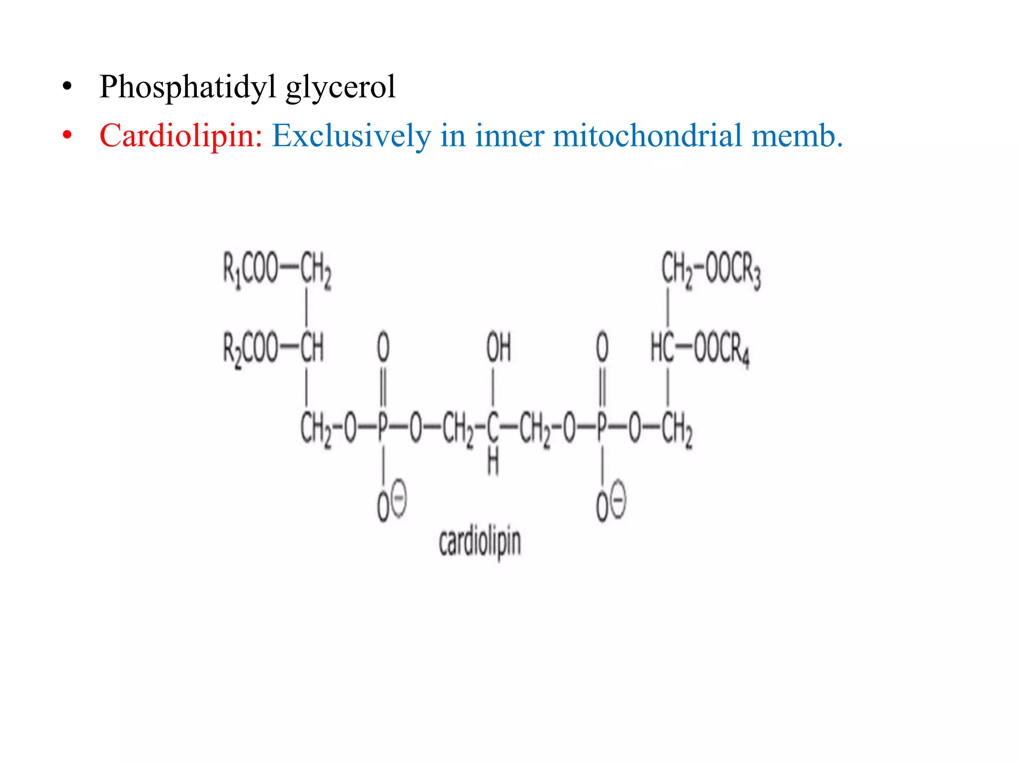 chemistry of lipids (class) | PPTX