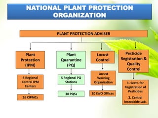 Vp final ppt | PPTX | Infectious Diseases | Diseases and Conditions