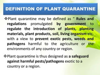 Vp final ppt | PPTX | Infectious Diseases | Diseases and Conditions