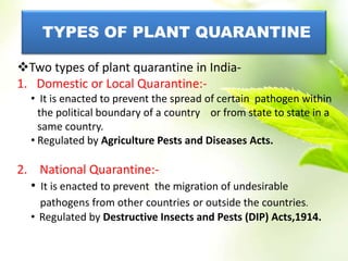 Vp final ppt | PPTX | Infectious Diseases | Diseases and Conditions