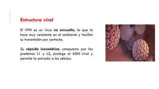 VPH,-. Virus de papiloma humano ....1.pptx