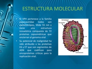 Vph | PPTX