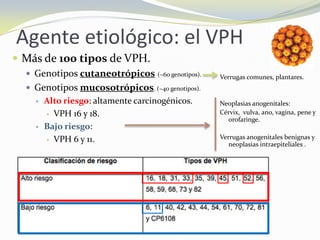 Virus Papiloma Humano. La importancia de la Vacunación. | PPTX