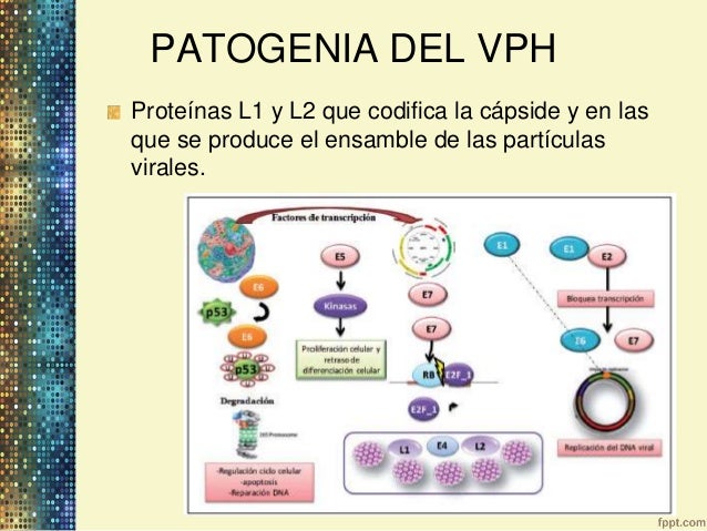 Vph