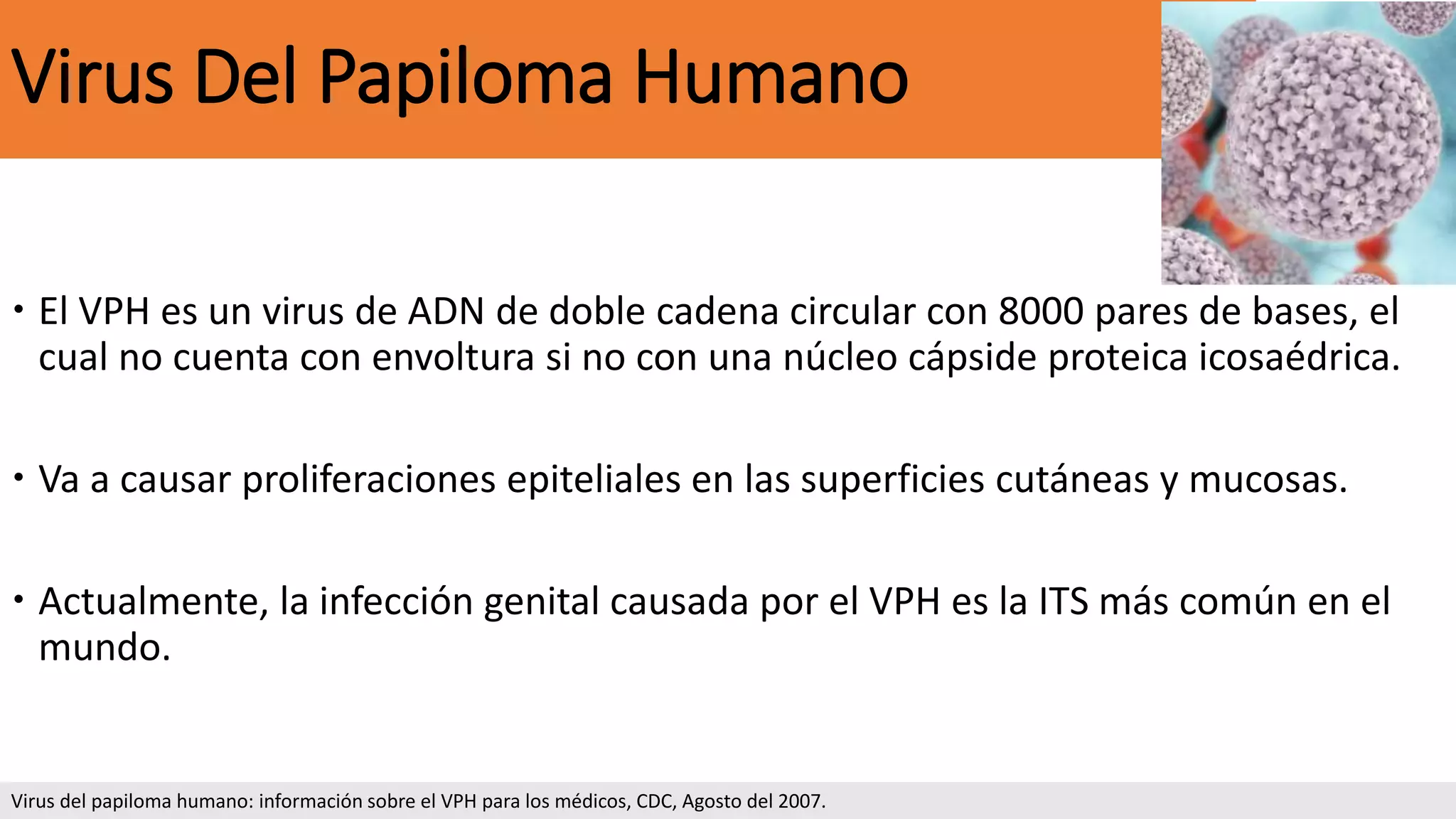 Virus Del Papiloma Humano | PPT