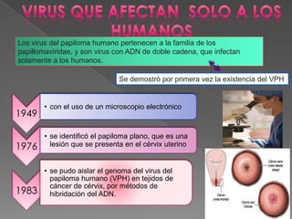 vph virus papiloma humano | PPTX