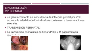 virus del papiloma humano (VPH) | PPTX