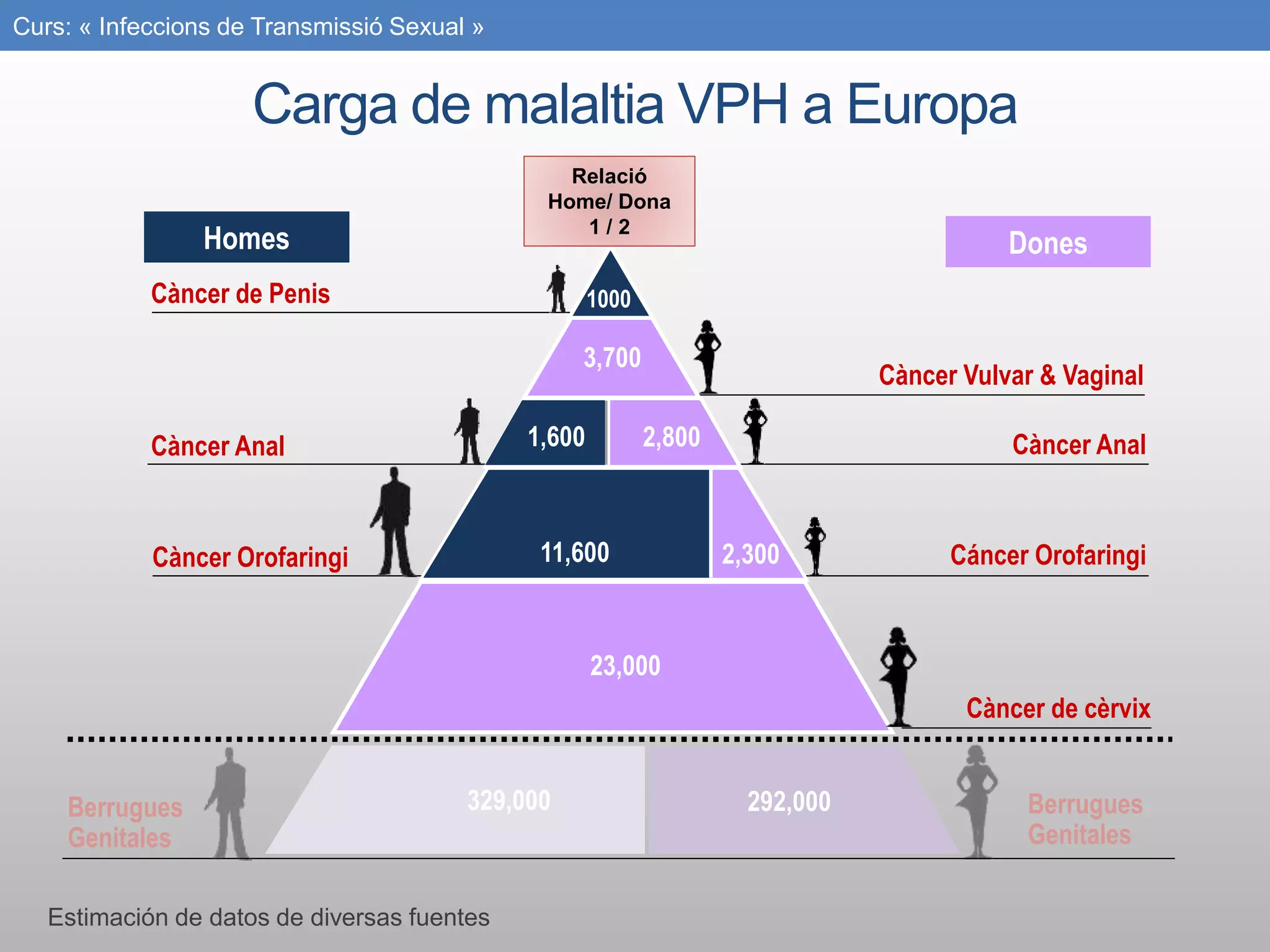 Vph neos
