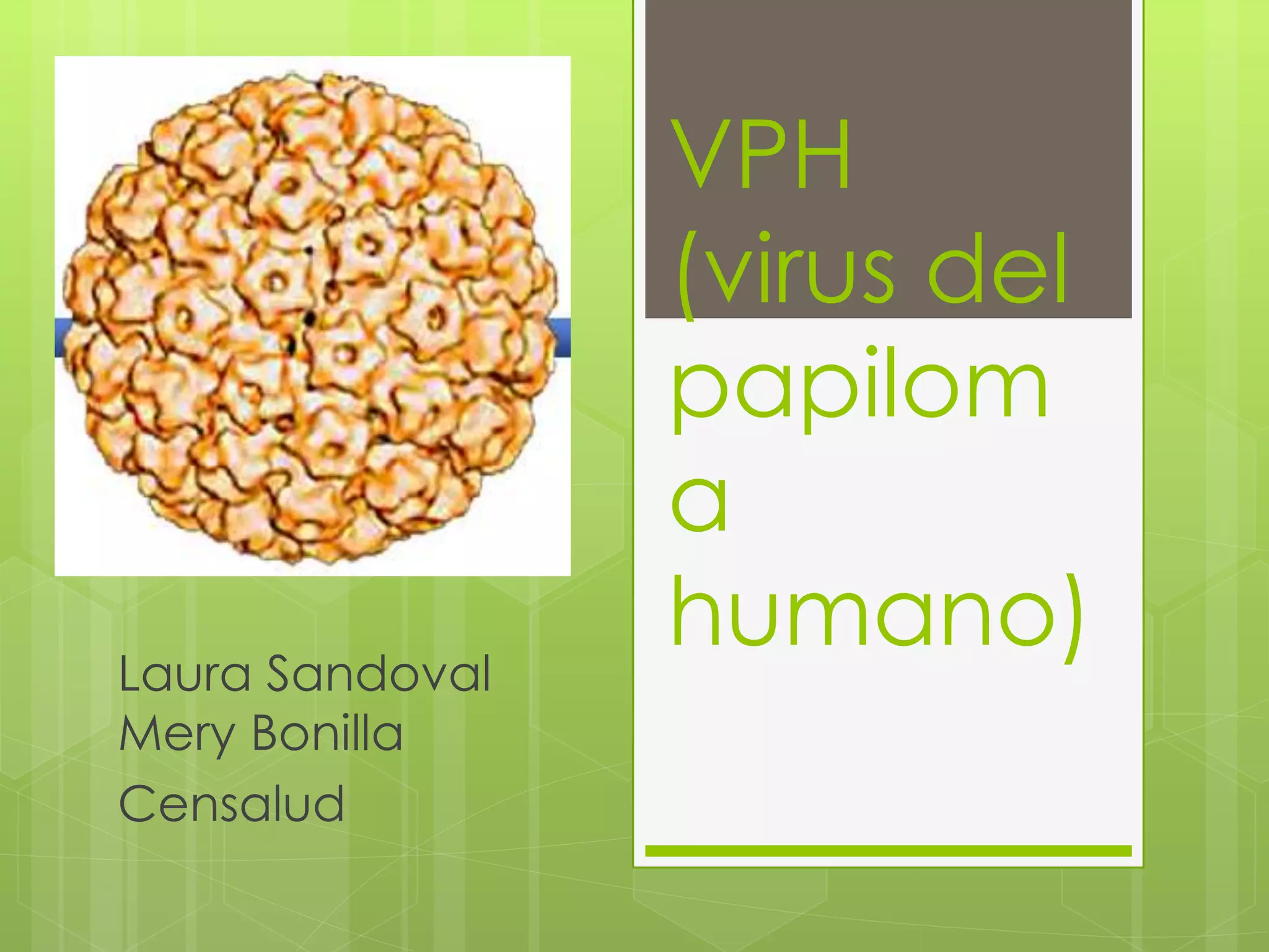 Vph virus del papiloma humano! | PPT