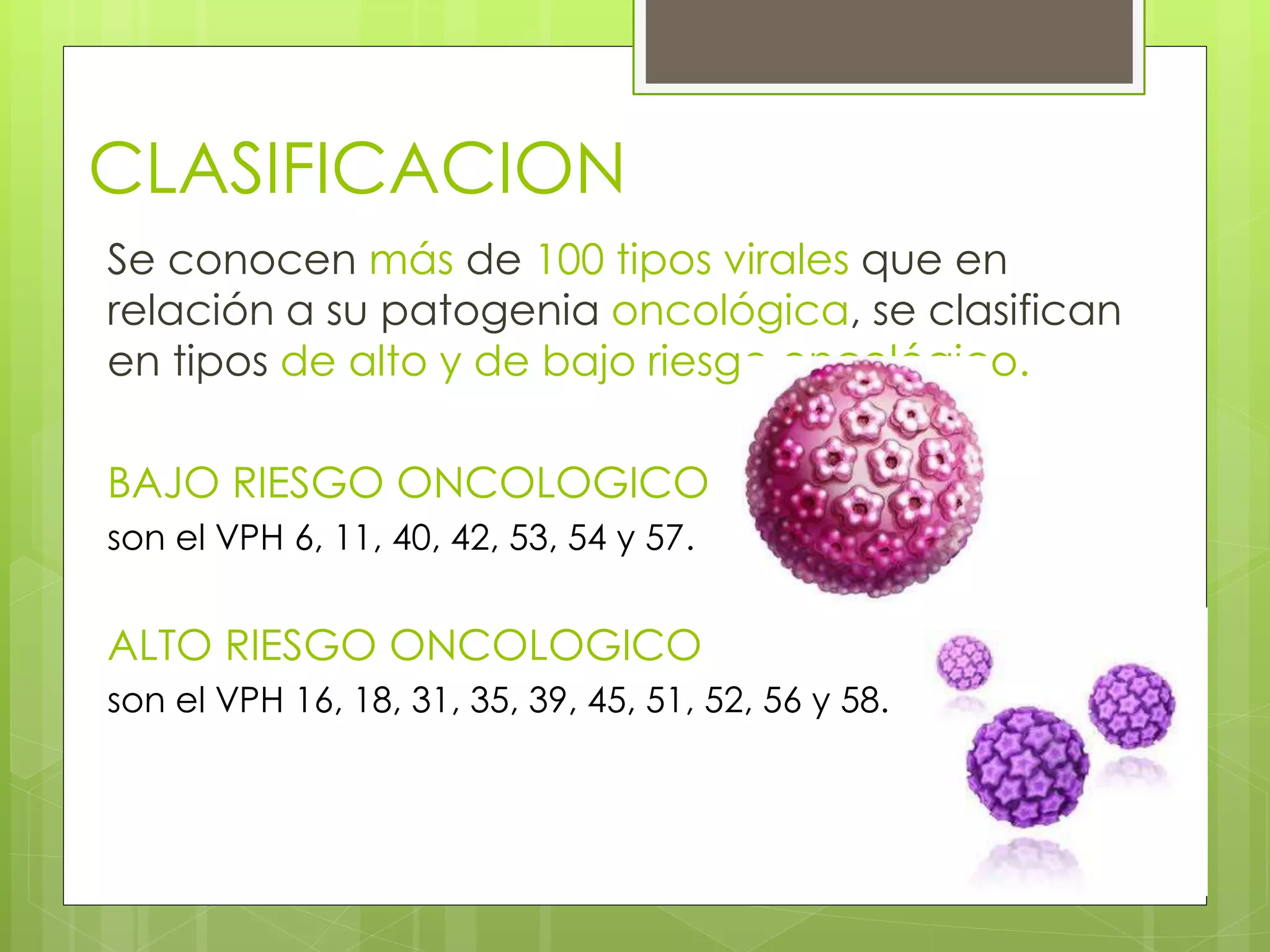 Vph virus del papiloma humano! | PPT