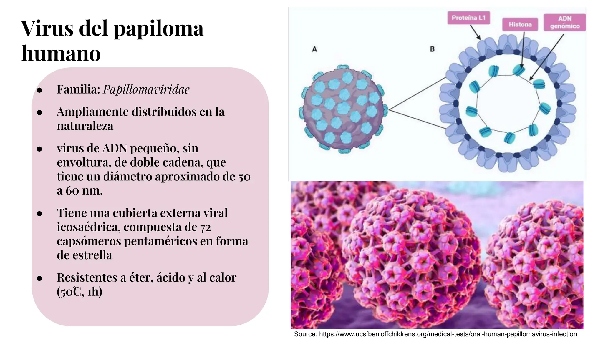 VPH Y CÁNCER. Generalidades y diagnóstico | PPTX