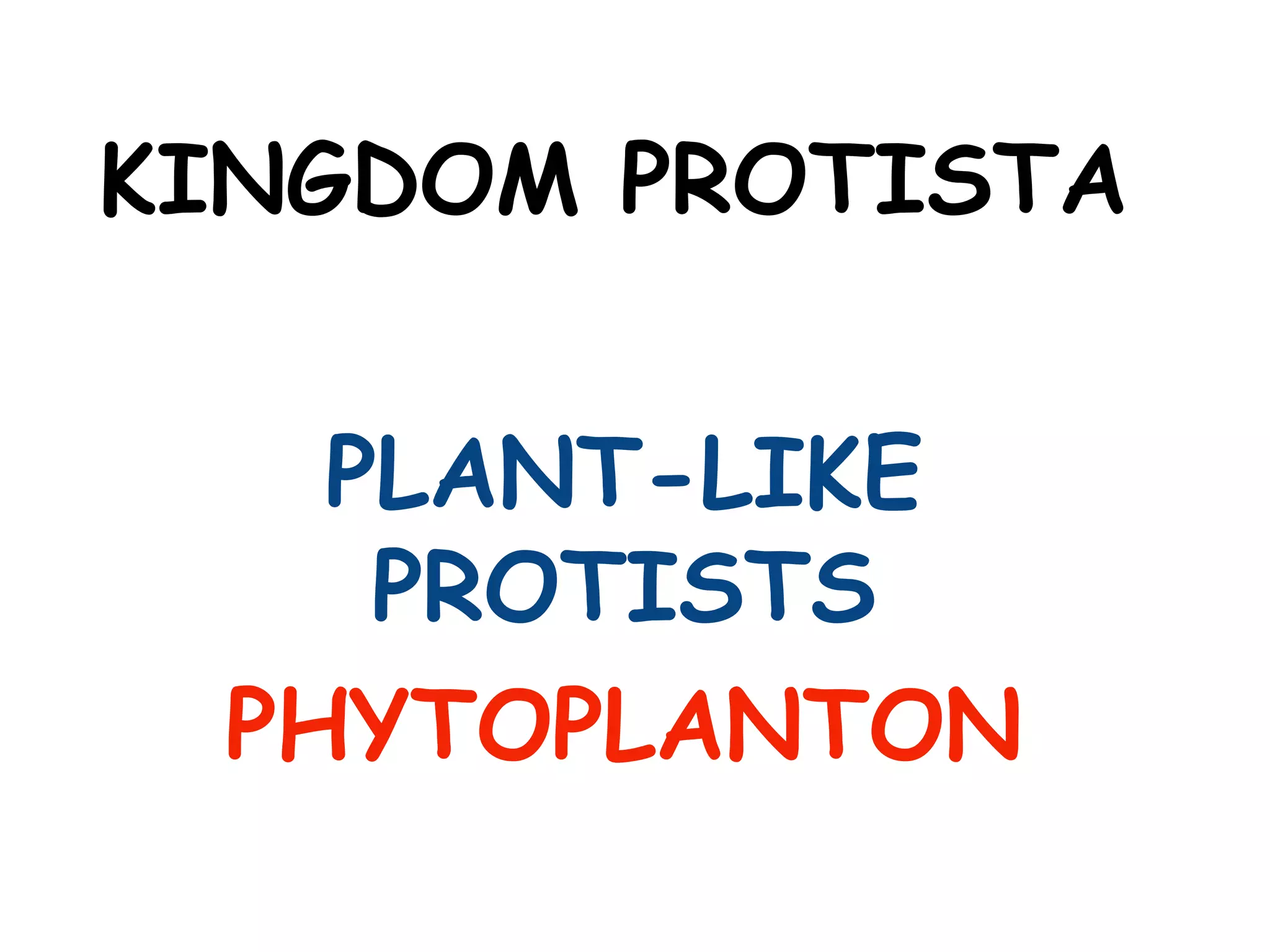 phytoplankton | PPT