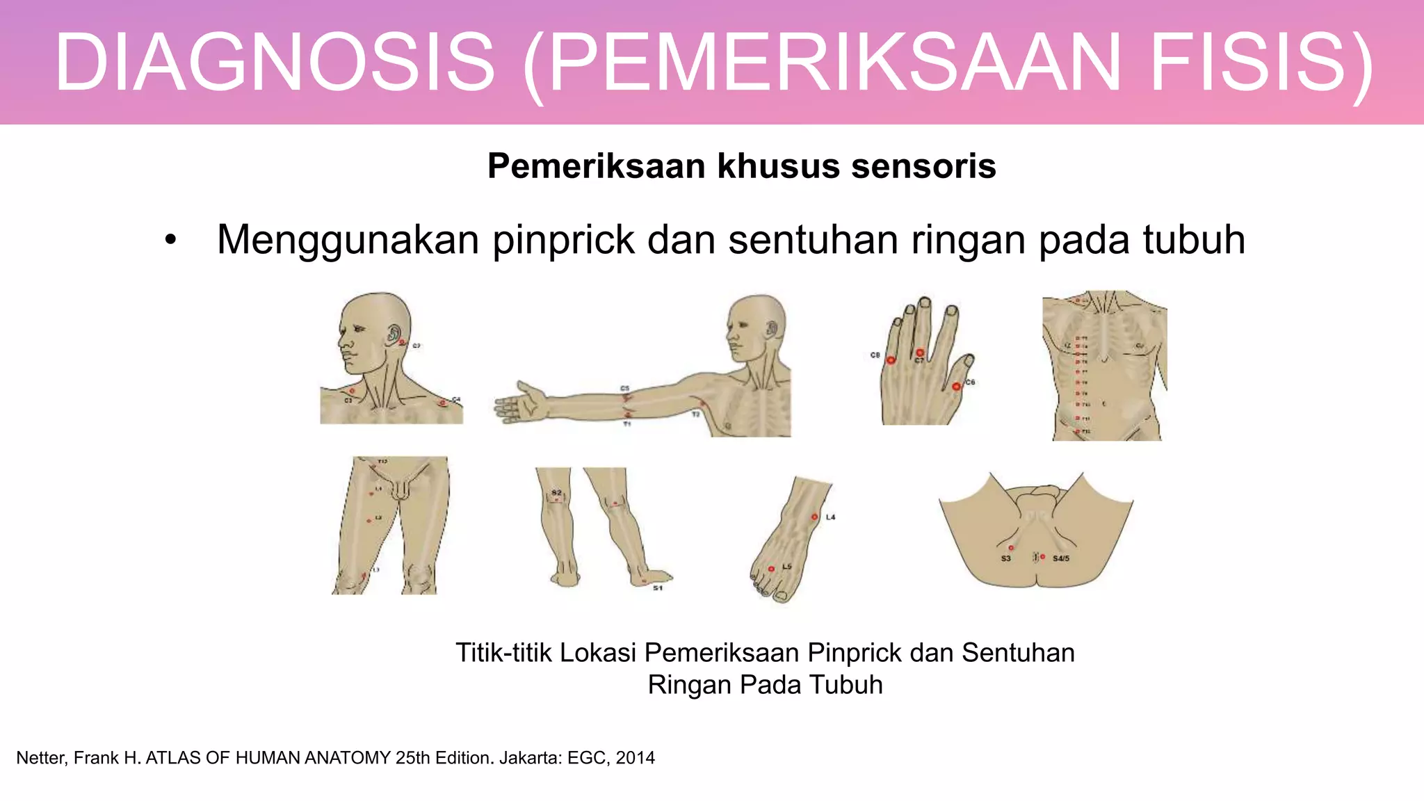 Copy_of_Spinal_Cord_Injury.pptx