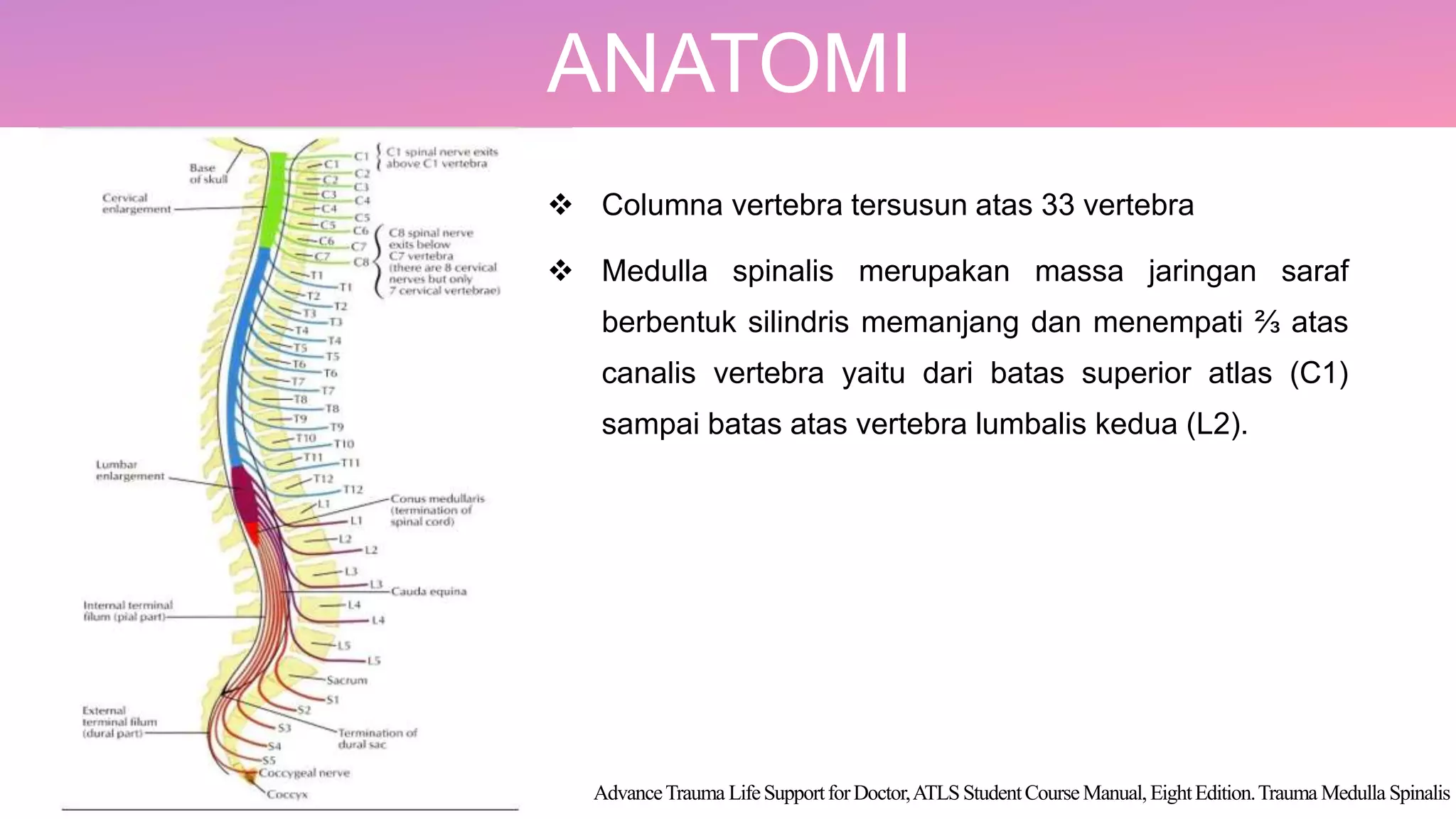 Copy_of_Spinal_Cord_Injury.pptx