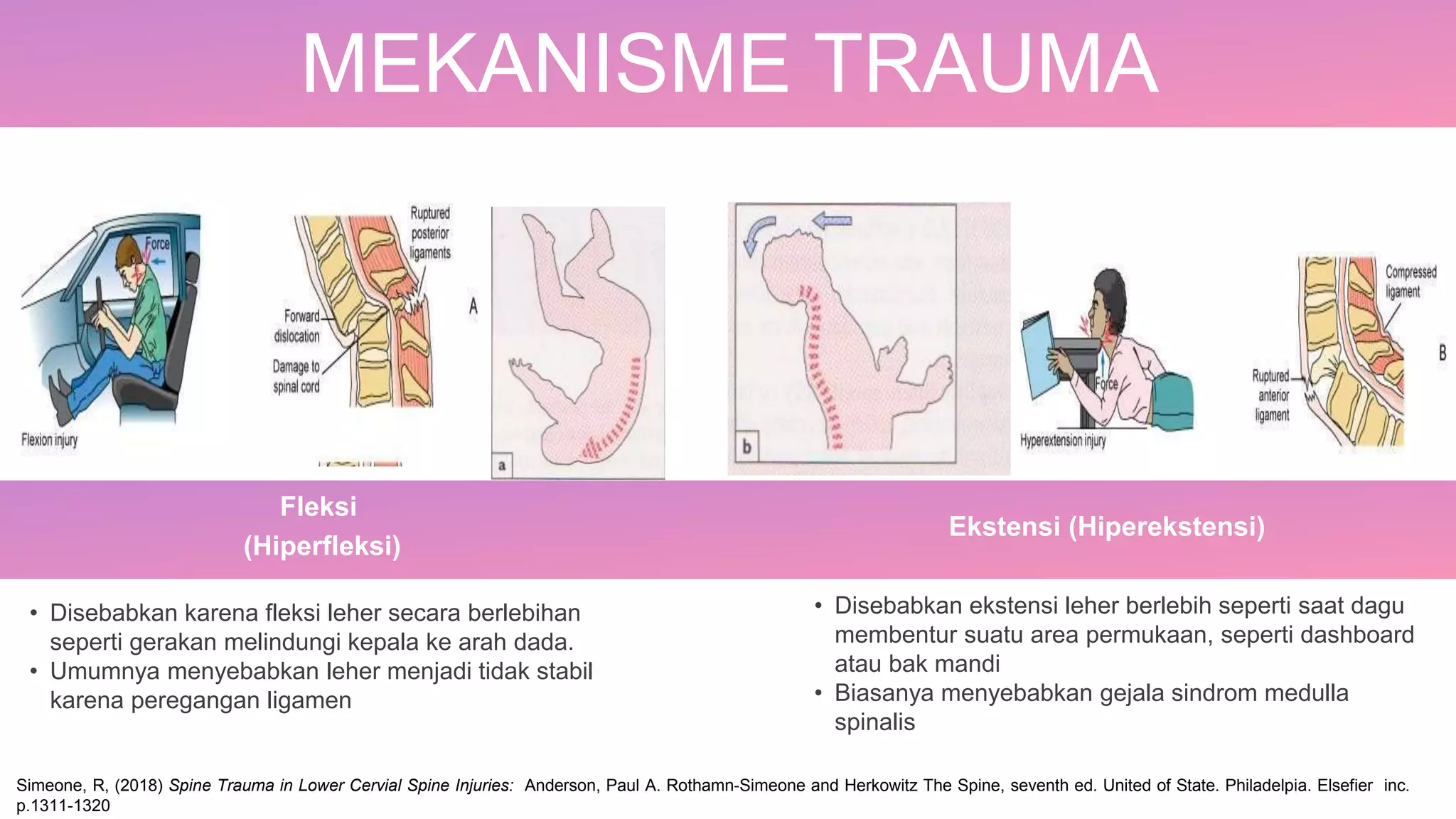 Copy_of_Spinal_Cord_Injury.pptx