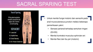 Copy_of_Spinal_Cord_Injury.pptx