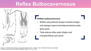 Copy_of_Spinal_Cord_Injury.pptx