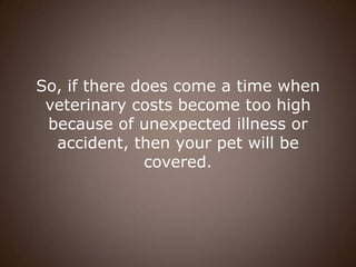 VPI Pet Insurance | PPT
