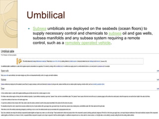 Piping layout/ Subsea | PPT
