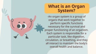 Organ systems ppt Science grade 11 1st q | PPTX