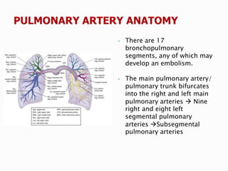 Saddle Pulmonary Embolism Diagram