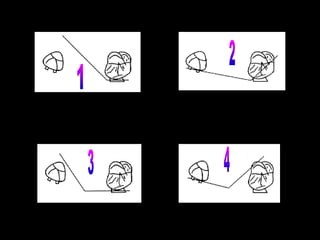 V bend principle | PPT