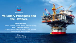 Chevron: Voluntary Principles and the Offshore | PDF